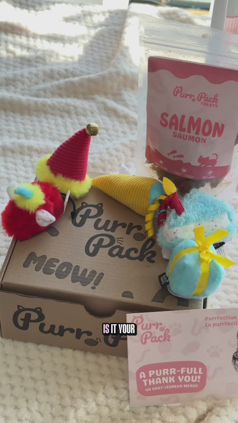 Purr Pack Cat Subscription Box | Cat Toys, Treats & Fun Delivered