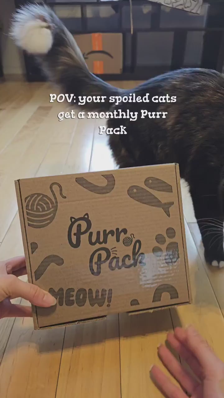 Purr Pack Cat Subscription Box | Cat Toys, Treats & Fun Delivered