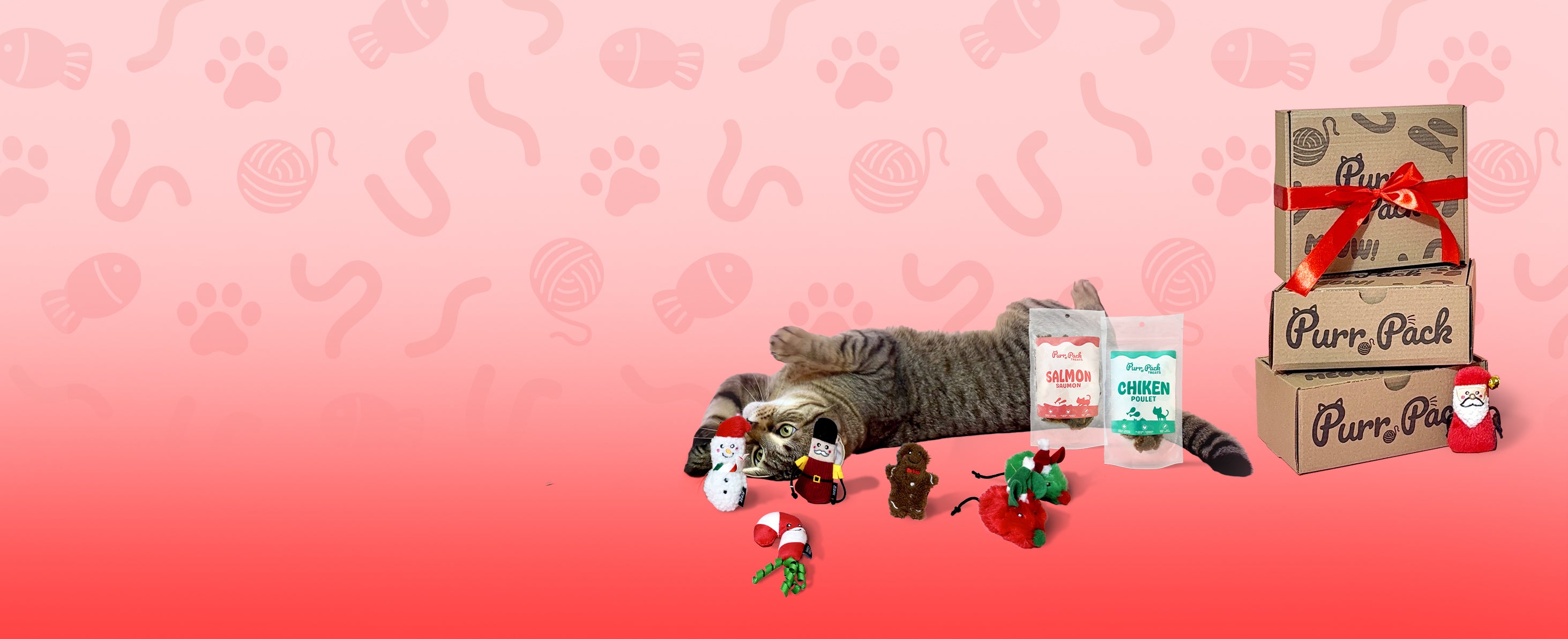 Purr Pack – Cat Subscription Box with Monthly Toys & Natural Treats